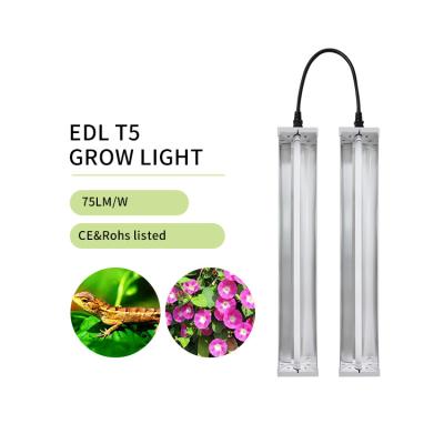 China Rohs Certification Low Heat T5 Fluorescent Grow Light For Greenhouse Weed for sale