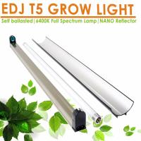 China RCM Hydroponic LED Plant Light 1800lm 39 Watt For Vegetables Reptiles for sale