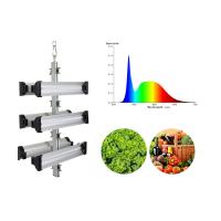 China RoHS 80W Eco Farm Grow Light 4foot low heat Led Grow Lights For Indoor Plants for sale