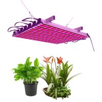 China 54W Small Indoor SMD2835 3FT Led Grow Light Timer For Greenhouse Eggplant for sale
