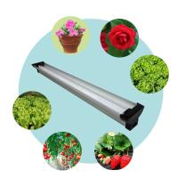 China OEM 48W Waterproof Led Grow Light Lamps 3 Year Warranty For Indoor Plant for sale