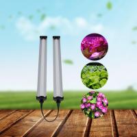 China Full Spectrum Waterproof Led Grow Light Strip IP65 Indoor Garden Lighting for sale