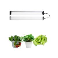 China SMD2835 Strawberry Grow Light , 48W Hydroponic Light Bulb for seed germination for sale