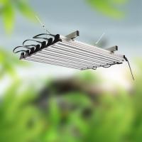 China Microgreens Hydroponic Garden Kit Tabletop Grow Lights Mini T5 RoHS for sale