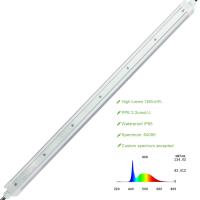 China Hydroponics IP65 Waterproof Led Grow Light Bar Full Spectrum 18W for sale