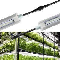 China Ip65 Waterproof Hydroponic Led Grow Light For Indoor Vertical Farming for sale