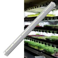 China Full Spectrum Waterproof LED Grow Light Lettuce Strawberry Hydroponic Grow Lamps for sale