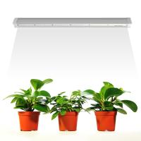 China Greenhouse Full Spectrum LED Grow Lights COB CRI85 18W Hydroponic Light for sale