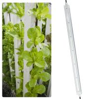 China Full Spectrum Waterproof LED Grow Light Lettuce Strawberry Hydroponic Grow Lamps for sale