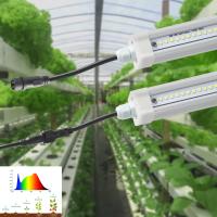 China T5 full spectrum led grow light tube 4FT Vertical Propagation For Indoor Growing for sale