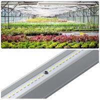 China 2ft Strip LED Grow Light IP65 Low Power Alluminum Alloy For Farming Plant for sale