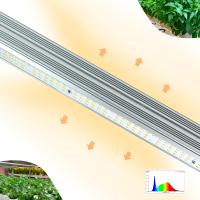 China Indoor Plants IP65 Hydroponics LED Grow Lights Tube Full Spectrum 18W for sale