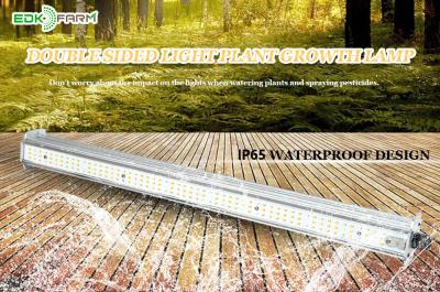 China Greenhouse 4FT Waterproof LED Grow Light 32W Vertical Propagation for sale