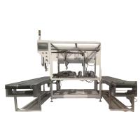 China Factory Direct Supply Low Cost Solar Panels Production Line Automatic High Precision Trimming Machine for sale