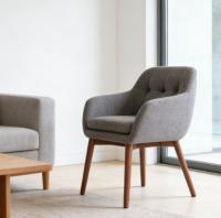 China Mid Century Modern Dining Chair Easy Assembly Ergonomic Design for sale