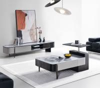 China Dustproof Rock Plate Modern Tea Table TV Cabinet Combination Powerful Storage for sale