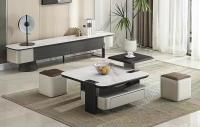 China Modern Minimalist TV Cabinet And Coffee Table Combination for sale