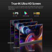 China UHD IPS 4K Usb C Tablet External Display Portable Monitor Screen 17.3 Inch for sale