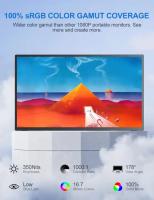China 16:9 60Hz Double Laptop Portable LCD Screen Monitor Extender 300 Cd/M² Brightness for sale