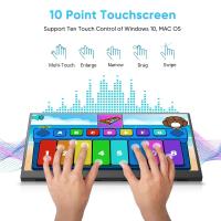China 1080P USBC HDR 15.6inch Portable Monitor LCD Touchscreen External Display For Xbox for sale
