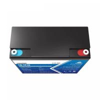 China 12.8V 20Ah LiFePO4 Solar Energy Storage Battery F13 Lithium Iron Phosphate 256Wh for sale