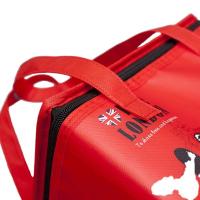 China Insulated 25x25x15cm 80gsm 2mm EPE Childrens Cool Bag for sale