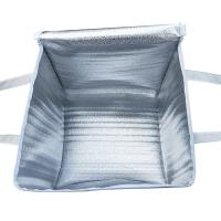 China Insulated 25x25x15cm 80gsm 2mm EPE Childrens Cool Bag for sale
