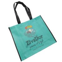 China BOPP Laminated Matt Biodegradable 100gsm PP Non Woven Bag for sale