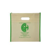 China CMYK Printing 25x9x21cm Heat Seal 70gsm PP Non Woven Bag for sale