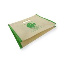 China CMYK Printing 25x9x21cm Heat Seal 70gsm PP Non Woven Bag for sale