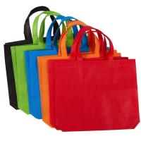 China 2.5cm PP Non Woven Bag for sale