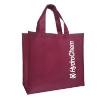 China Eco Friendly 80gsm 1000pcs 30x15x35cm PP Non Woven Bag for sale