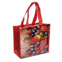 China ODM 40x32x12cm 25kg 80gsm Laminated Woven Polypropylene Bags for sale