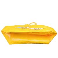 China 100gsm CMYK 2.5x60cm 80x37x20cm Laminated PP Woven Bag for sale