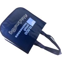 China 35x15x40cm 120gsm CMYK Woven Polypropylene Bags With Handles for sale