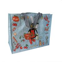 China Printed Bopp 15x38cm 120gsm Laminated PP Woven Bag for sale