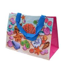 China TNT 3000pcs 120gsm 35x39.5cm Polypropylene Woven Bag for sale