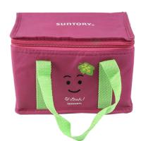 China 50x2.5cm 6 Can 2mm EPE 80gsm Promotional Insulated Lunch Bags for sale