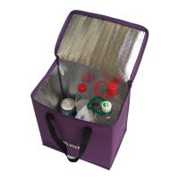 China Non Woven Wine 20x15x20cm 80gsm 2mm EPE Insulated Cooler Bag for sale