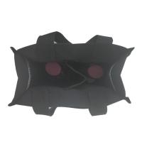 China BLack Canvas PE 18x9x27cm CMYK 2 Bottle Wine Bag for sale