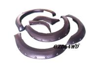 China Black Wheel Arch Flares For  Ranger 2015 2016 Accessories With Decorative Screws for sale