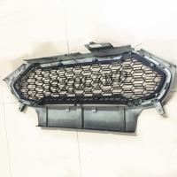 China FORD Letters Custom Ford Ecosport 2020 Car Grill Mesh for sale