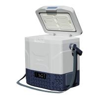 China DC Portable Refrigerator For Outdoor/Picnic Small Liters Mini Car Cooler 12v Camping Fridge Freezer for sale