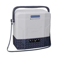 China DC Portable Refrigerator For Outdoor/Picnic Small Liters Mini Car Cooler 12v Camping Fridge Freezer for sale