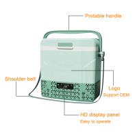 China Grade 1 Energy Efficiency 12L Car Portable Fridge Freezer for Camping and Travel for sale