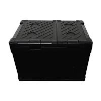 China Portable Car Fridge For Camping 45ND Product Refrigerant R134a/R600a for sale