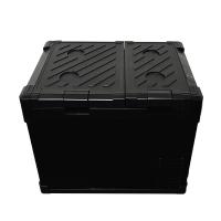 China Tesla Car Fridge 55ND Space Saving Design 12v Mini Refrigerator Freezer with Amazon for sale