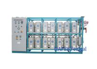 China Hemodialysis Water Treatment Medical Grade Veolia MK-3MiniHT Suez EDI Stacks 1.14 M3/H Compact EDI for sale