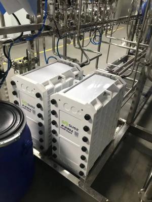 China Veolia E-Cell-3X EDI Module 5.0 m3/h High Purity Water Treatment for Pharma Industrial Use for sale
