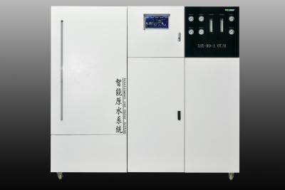 China 1T/H Commercial Reverse Osmosis Water Plant 304 Stainless Steel Plug and Play Pre Engineered Design for sale